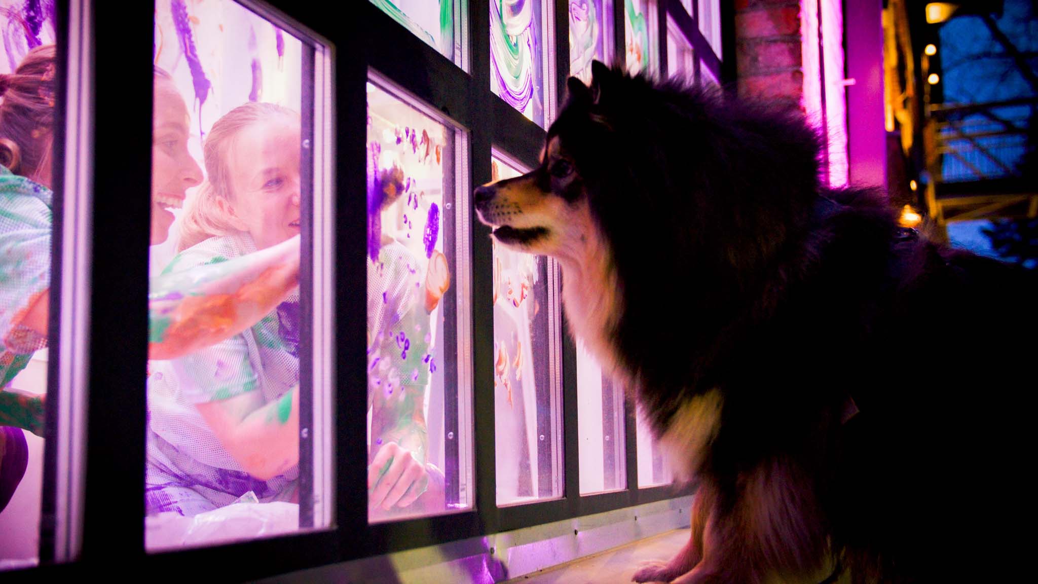 Window Walkabout starts and offers new type of screen time in the ...